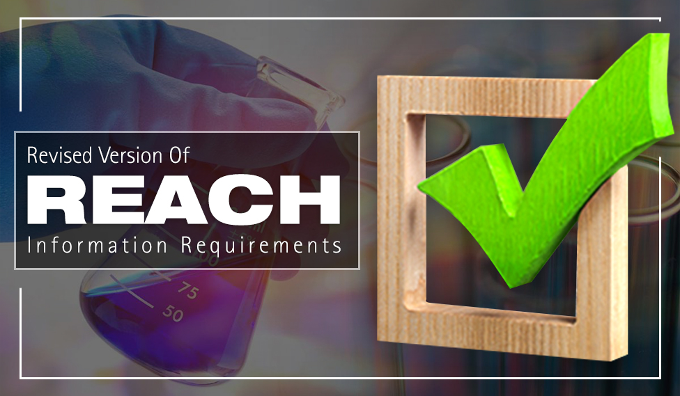 Revised Version Of REACH Information Requirements